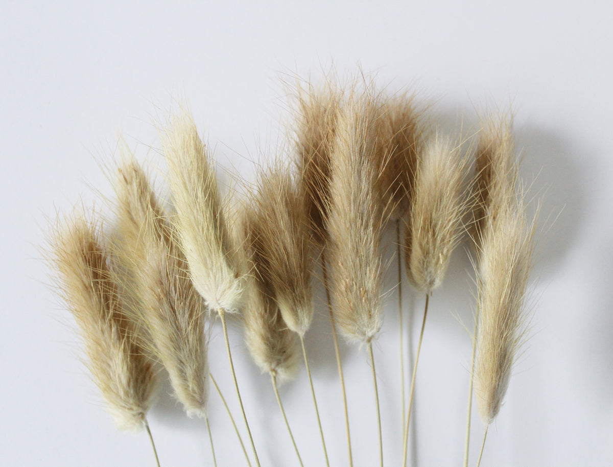 Raw Bunny Tails – monoï & stone